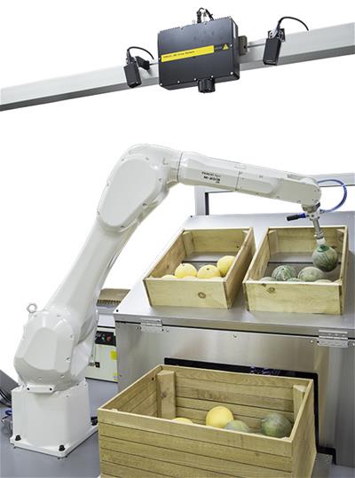 Food Robots - FANUC Food & Beverage Industry Robots | FANUC America